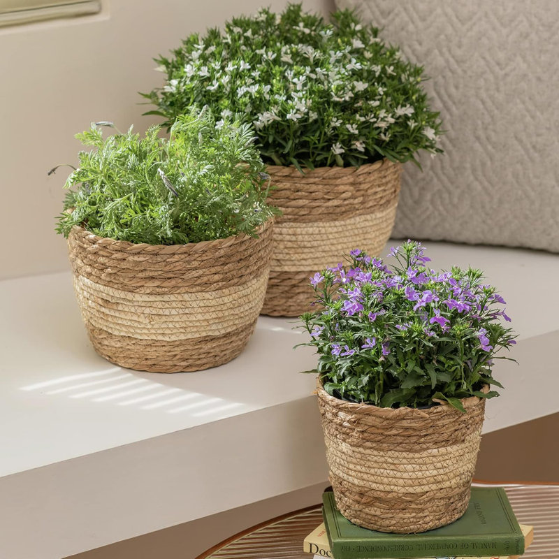 Bay Isle Home™ Muse Seagrass Planter Basket Indoor, Flower Pots Cover, Plant Containers | Wayfair